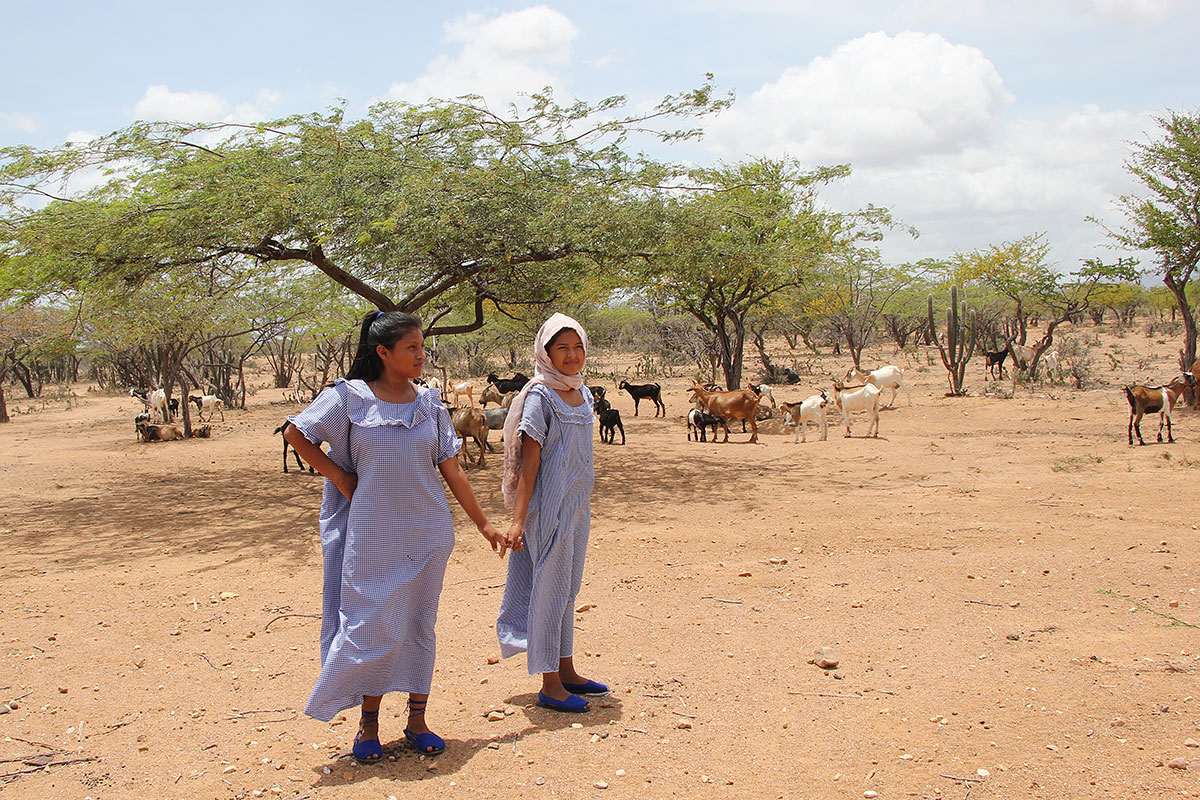 Yuseth | Hele Verden i Skole